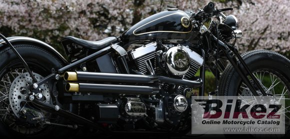 Road Hopper Type9 Evo gallery